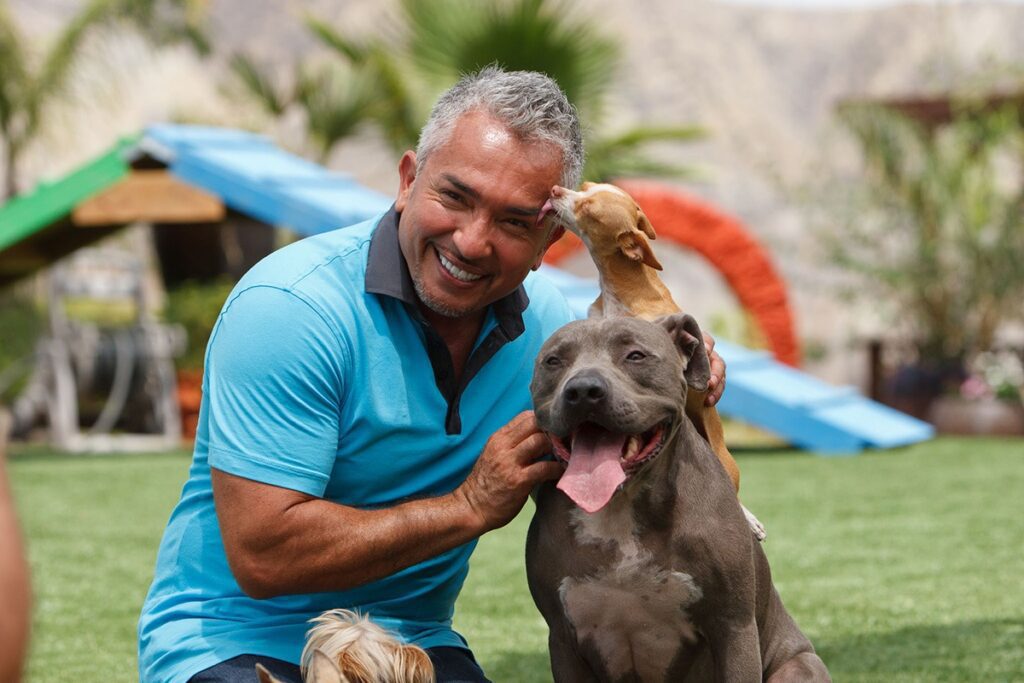 Quién es Cesar Millan, el encantador de perros