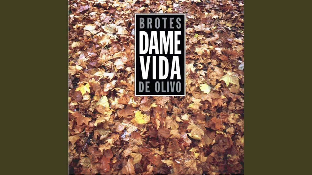 Cómo tocar Dame de tu vida y de tu tiempo" en guitarra"