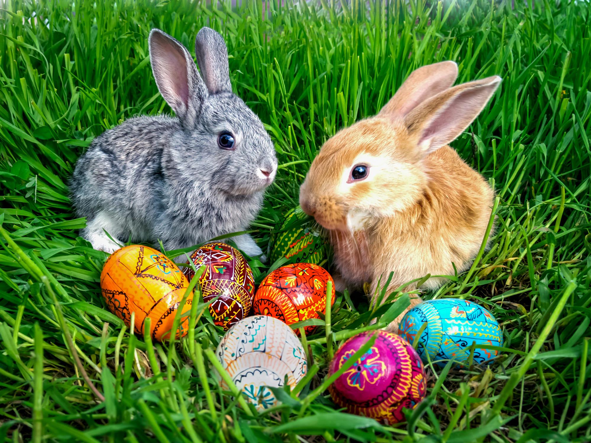 Qué significa el Día de Pascua y cómo se celebra