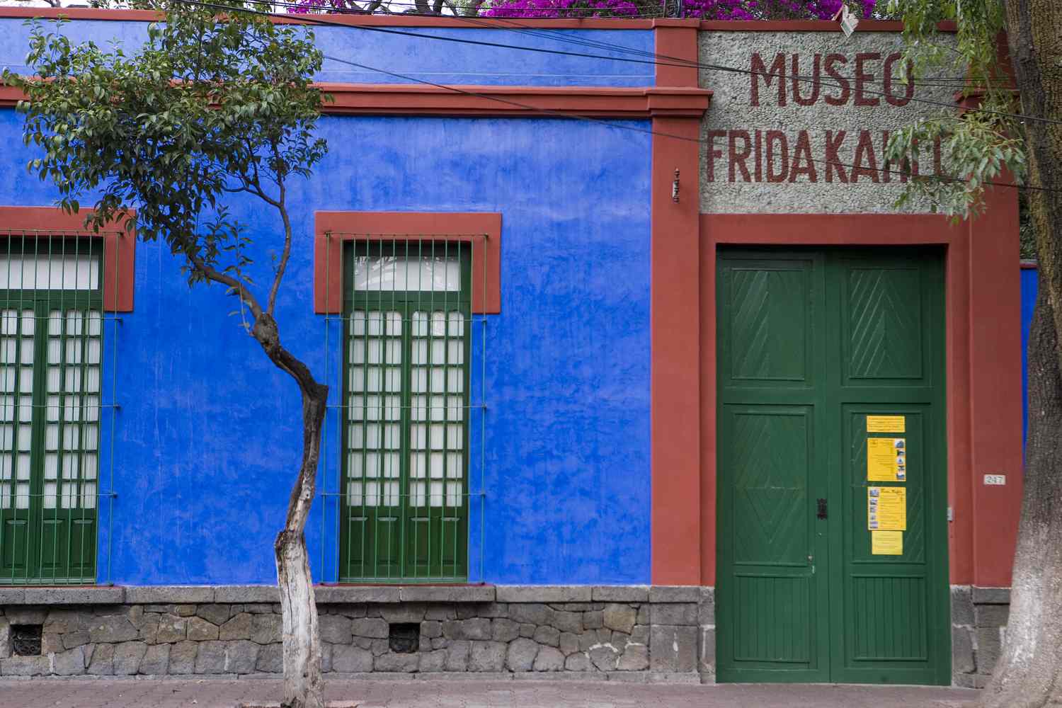 Dónde paso Frida Kahlo la mayor parte de su vida