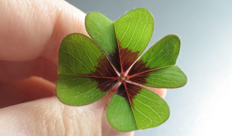 Cómo aumentar la suerte y el éxito en tu vida