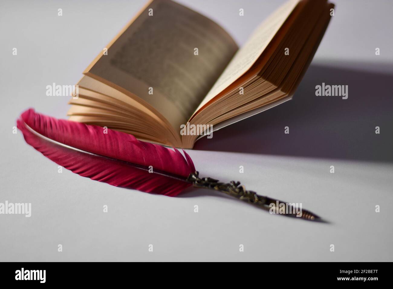 Poemas para Dedicar: Arte e Historia en Versos